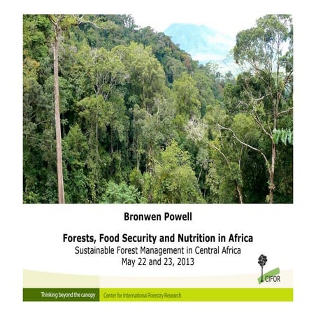 Forests, Food Security and Nutrition in Africa | PDF | Nutrition ...