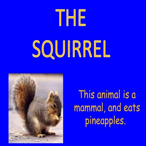 English | PPTX | Pets