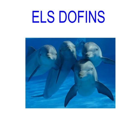 ELS DOFINS | ODP