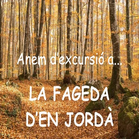 lA FAGEDA D\'EN JORDÀ | PPT