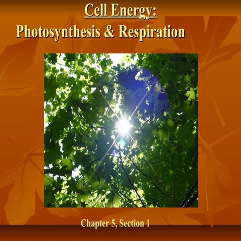 Power point-51-cell-energy-photosynthesis-respiration-1193616844870555 ...