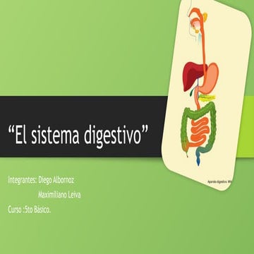 Power-Point-Sistema-Digestivo.pptx para5 | PPTX
