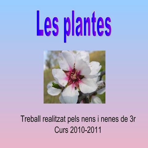 Les plantes | PPT