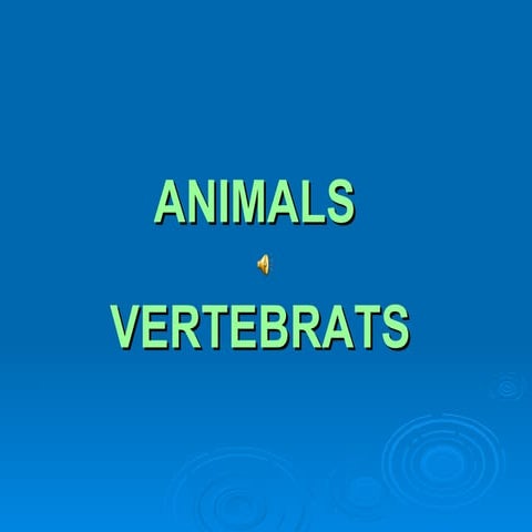 Power Animals | PPS | Reptiles | Pets