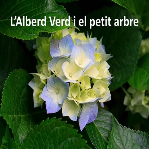 Power de l albert verd | PPTX