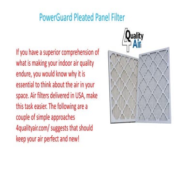 Power Guard Pleated Panel Filter | PPT