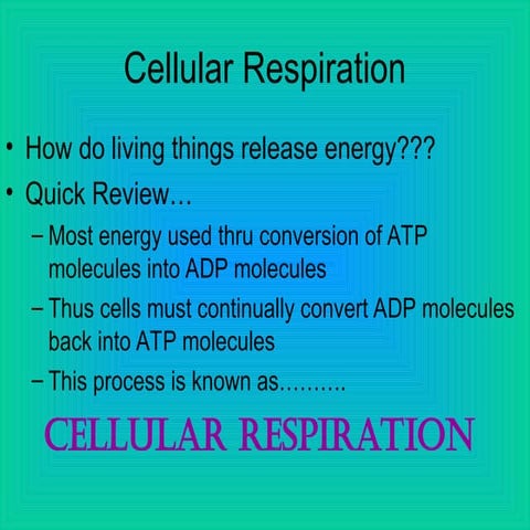 Grade 11 cellular respiration | PPTX