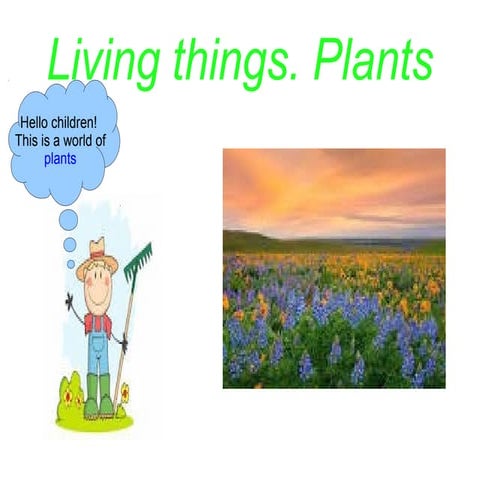 Plants | PPT