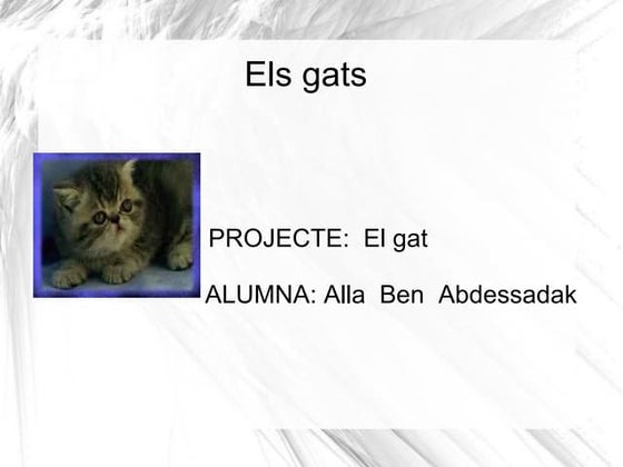 Prezentacja o kotach | PPT