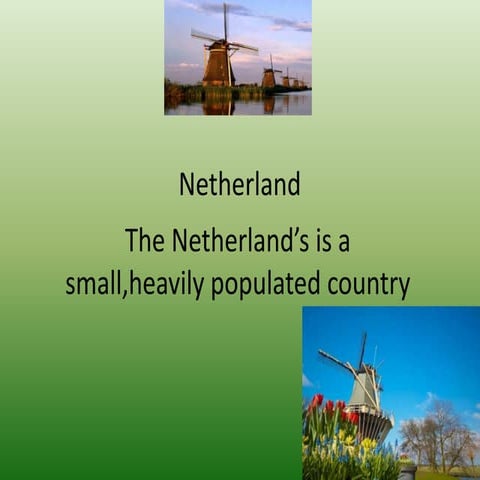 THE NETHERLANDS | PPTX