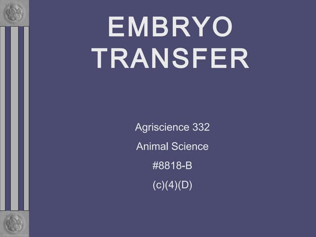 Human embryonic development | PPT