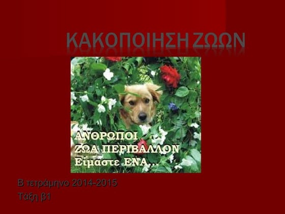 η εκμεταλευση των ζωων! | PPT
