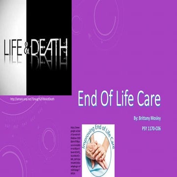 End Of Life Care | PPTX