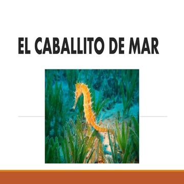 Caballito de mar | PPTX