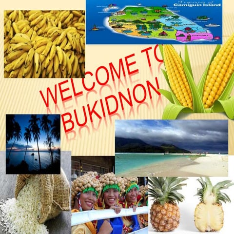 Bukidnon and Misamis Occidental | PPTX