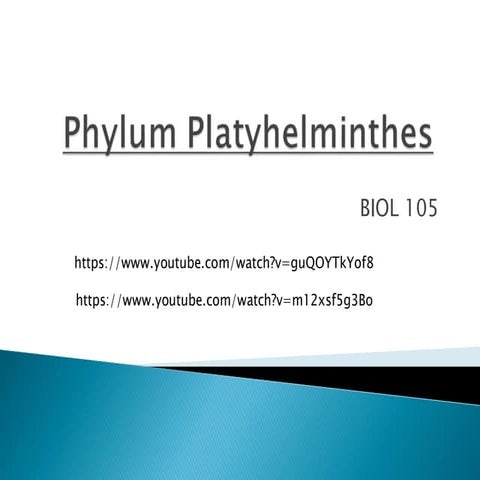 Phylum platyhelminthes characteristics and classification | PDF