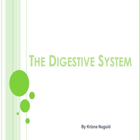 Power point digestive system | PPTX