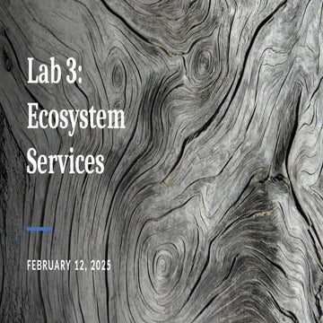 Powerpoint on Ecosystem Services for Ecology | PPT