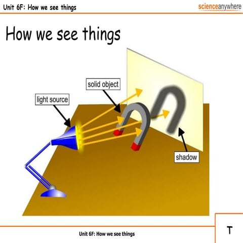 Light Slideshow | PPT | Physics | Science