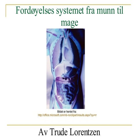 Respirasjonssystemet | PPT