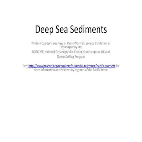 Powerpoint Illustrating Deep Sea Sediment Types | PPTX | Geography ...