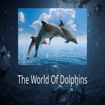PowerPoint-Karaoke-Dolphins for parties with friends | PPTX