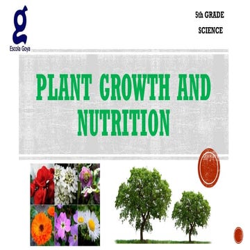 PLANTS 5TH | PPT