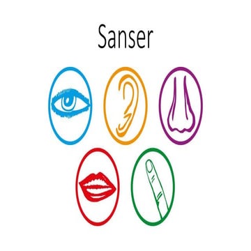 Powerpoint sanser - hørsel | PPTX