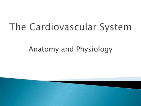 Anatomy of the Cardiovascular system | PPT