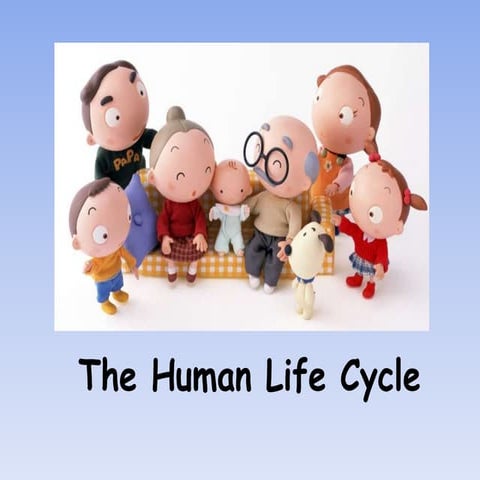 Powerpoint - The Human Life Cycle.ppt