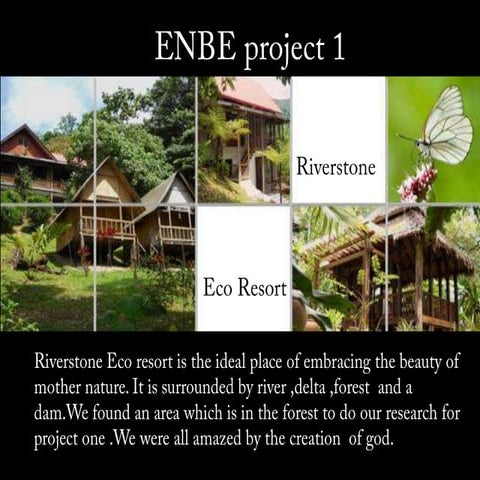 Power point 1 enbe | PPTX