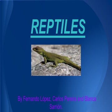 Reptiles, by Blanca, Fernando and Carlos | PPT