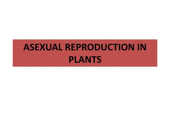 Asexual reproduction in plants | PPT