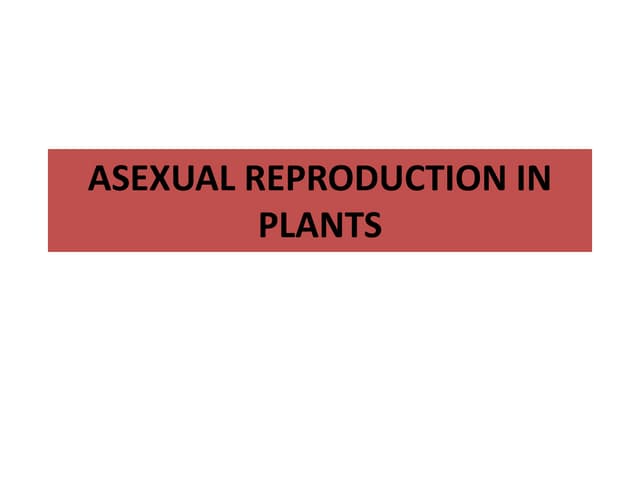 Reproduction in plants | PPTX