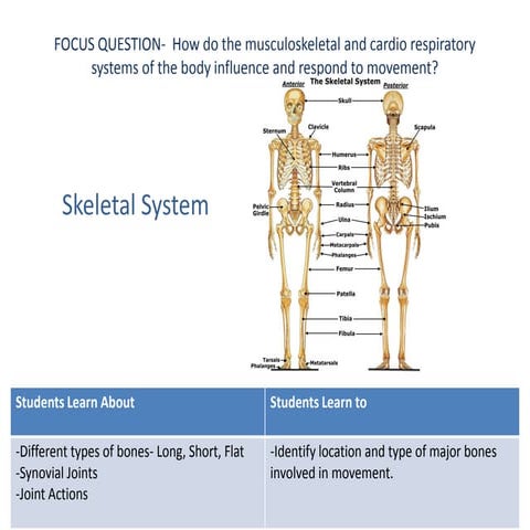 Body in Motion | PPTX