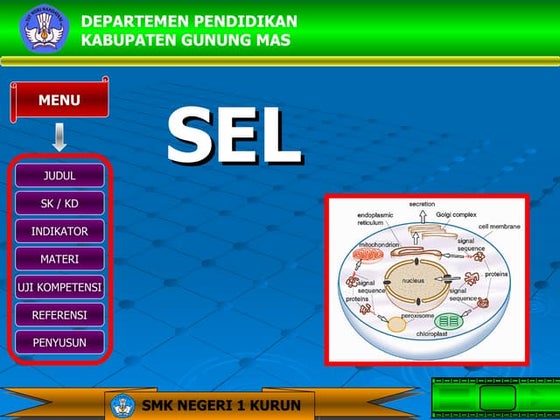 Ppt. sel | PPTX