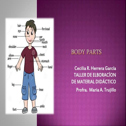 Body Parts In Spanish And English Parts Of The Body – Language