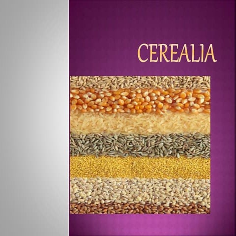 Power point cerealia | PPTX