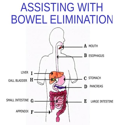 Power Point Chapter 16.pptx ABOUT ANATOMY &PHYSIOLOGY | PPTX