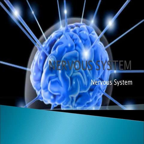 Nervous System | PPT