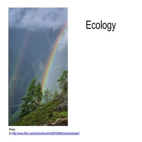 Power point ecology activity, biology corner | PPTX