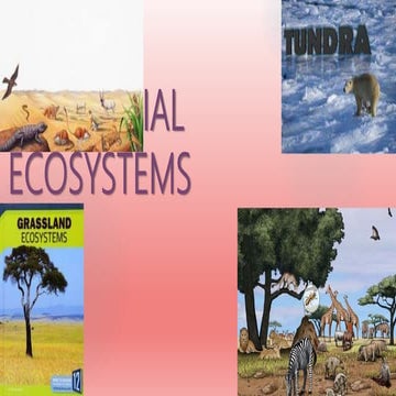 Power point ecosystems | PPT