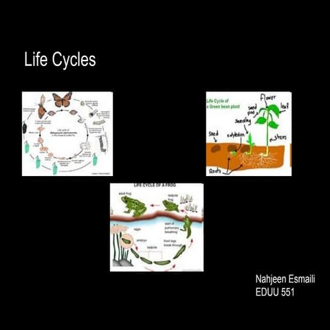 Power point eduu 551 | PPT