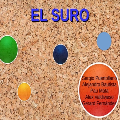 Power point el suro | PPT