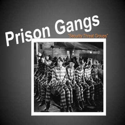 Prison Gangs for Small Group Communication | PPTX