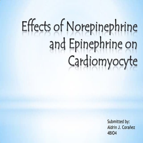 Effects of Norepinephrine and Epinephrine on Cardiomyocyte | PPTX
