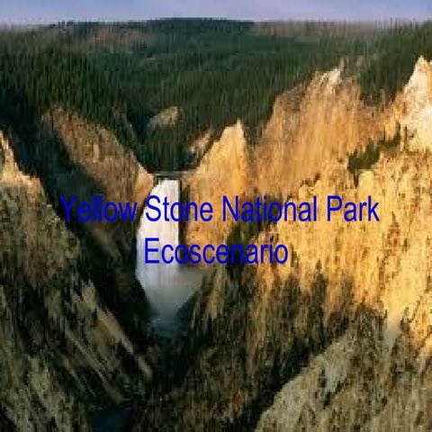 Powerpoint for 8th grade project (science) | PPT