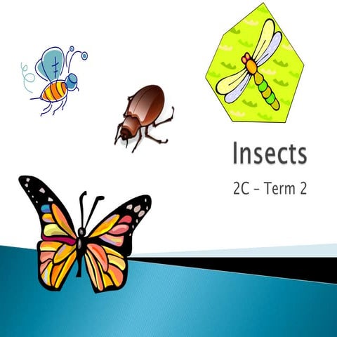INSECTS | PPTX | Beekeeping | Hobbies & Interests