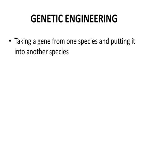 Powerpoint genetic engineering | PPTX