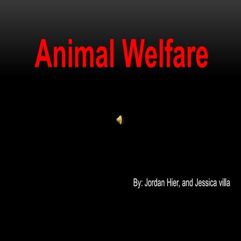 Animal welfare presentation ashley ripplinger | PPTX